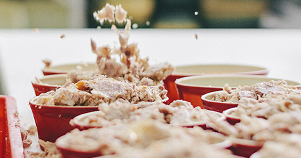 Le potjevleesch dans tous ses états, mais pas que ! | Torbihan.fr